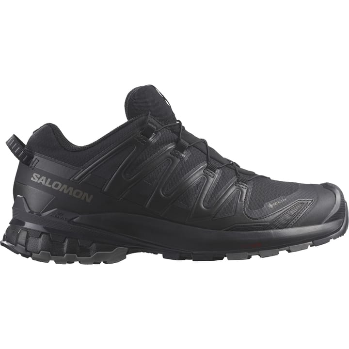 Salomon Men's XA Pro 3D V9 GORE-TEX Black/Phantom/Pewter | Fjellsport.no